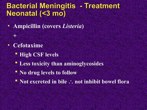 Meningitisppt Contains Information On Meningitis Ppt