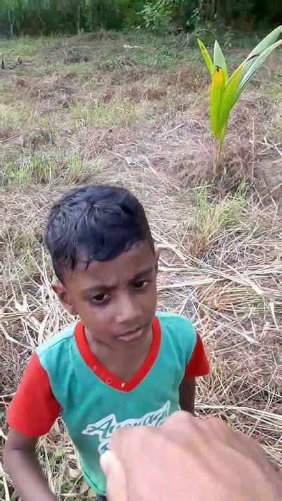 නලුවෙක් වෙයිද බලන්නකෝ කජු ගෙඩිය 😁 Youtube