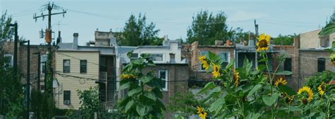 E Waste And The Ecosystem Delta Institute