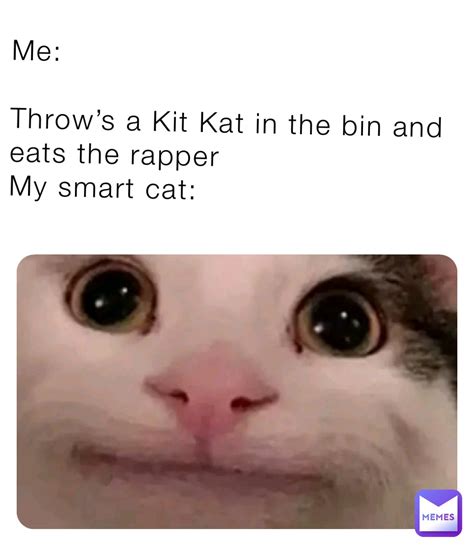 Me Throws A Kit Kat In The Bin And Eats The Rapper My Smart Cat Dushan09 Memes