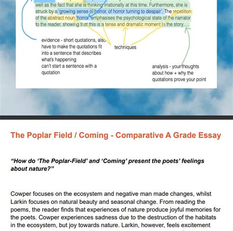 Example A Grade Pee Paragraph Teaching Resources