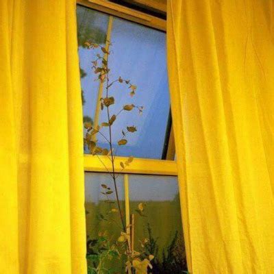 Yellow Timothee Tumbex