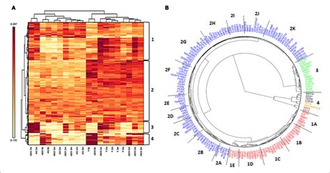 Heatmap And Cluster Analysis A Of Epithelial Related Genes