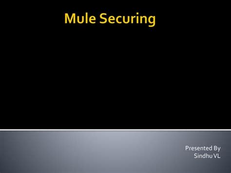 Mule Securing Ppt