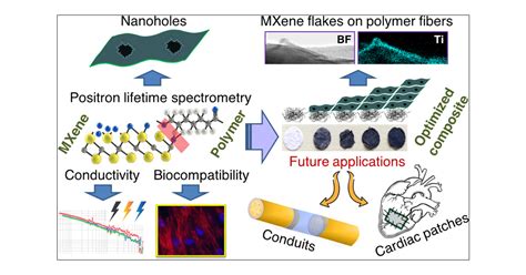 Polycaprolactonemxene Nanofibrous Scaffolds For Tissue Engineering Acs Applied Materials