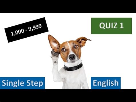 Numbers Quiz About Numbers General… English Esl Video Lessons