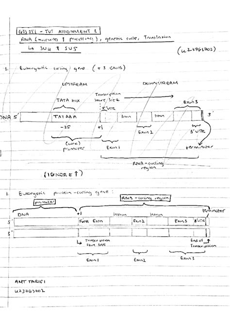 GTS 251 TUT 3 Tutorial Exam Type Questions GTS 251 Studocu
