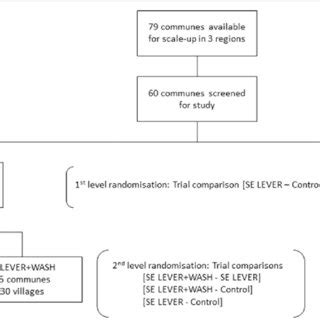Schematic View Of The Randomization Download Scientific Diagram
