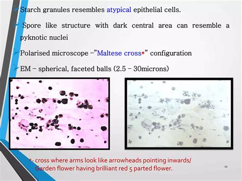 Artifacts In Tissue Processing Pptx
