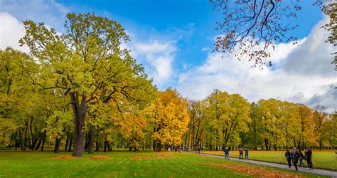 2016 10 15 141047 6d Fck Flikr Flickr