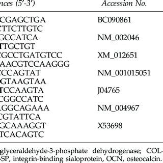Human Primer Sequences For Reverse Transcriptase Polymerase Chain Reaction Download Table