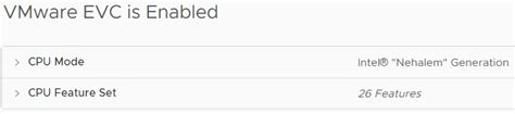 Using EVC In VMC On AWS HCX Migrations