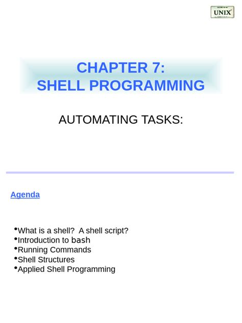 Chapter 7 Shell Programming Pdf Scripting Language Command Line Interface
