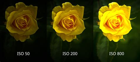 Portrait Photography The Ultimate Resource For Making The Perfect