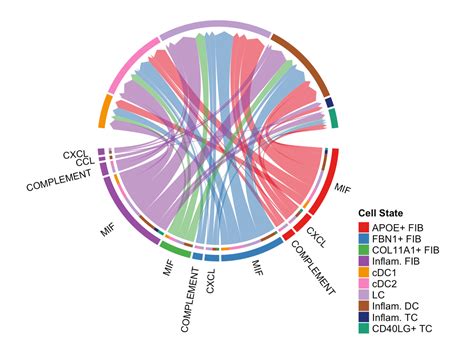 【单细胞测序】cellchat详解，v1 1 3（20210814更新版本），单个对象的分析 哔哩哔哩