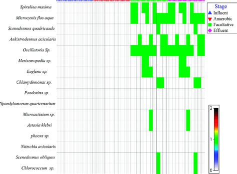 distance based redundancy analysis db rda showing the relation