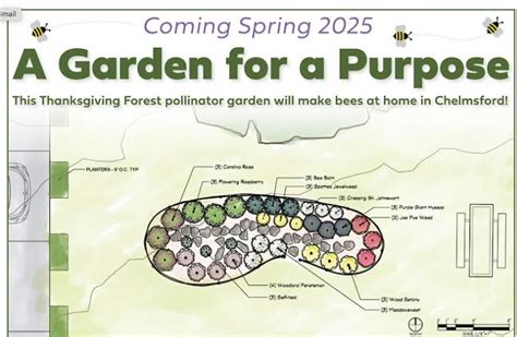 Thanksgiving Forest Pollinator Gardenchelmsford Conservation Land