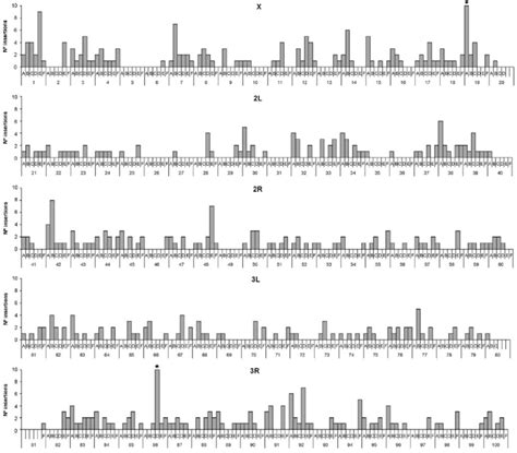 Chromosomal Distribution Of De Novo Roo Insertions In The 57 Mutation Download Scientific