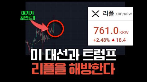리플 Xrp 미 대선과 트럼프 리플을 해방한다 리플 리플분석 리플급등 리플차트 코인시황 코인분석 Youtube