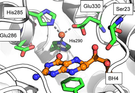 Virtual Screening Atlantis Bioscience Pte Ltd