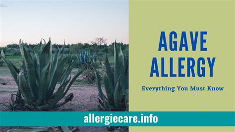 Codeine Allergy Everything You Must Know Allergie Care