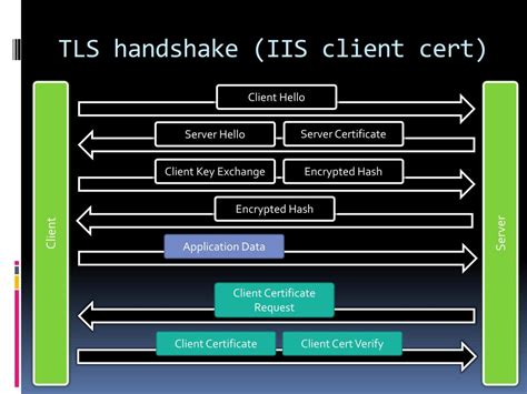 PPT TLS PowerPoint Presentation Free Download ID 2867714