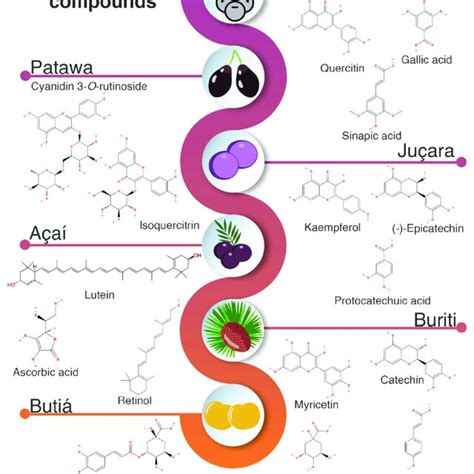 Chemical Structures Of The Main Bioactive Compounds Found In Fruits Of Download Scientific