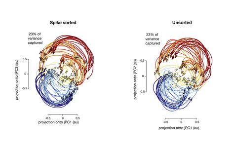 How Important Is Spike Sorting