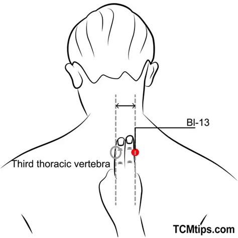 8 Effective Acupressure Points For Lungs Recommended By Tcm