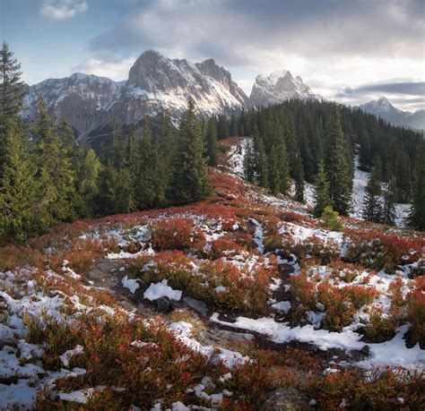 First snow in Austria : r/MostBeautiful