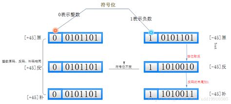 数据表示——原码、反码、补码、移码0的补码和移码 Csdn博客