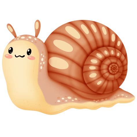 Cute Shell Pngs For Free Download