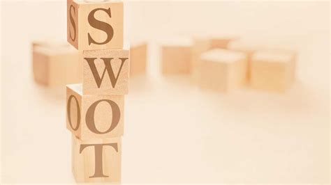 Swot Analyse Rueckenwind