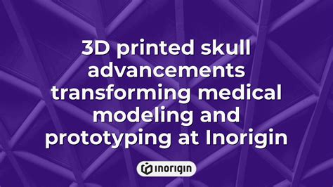 3d Printed Skull Advancements Transforming Medical Modeling And Prototyping At Inorigin