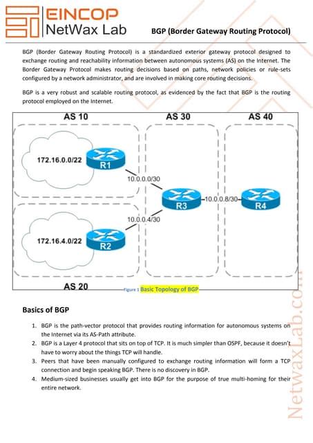 Bgp Border Gateway Routing Protocol Pdf Internet Computing