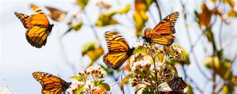 The Making Of Start Up Ecosystems Insead Knowledge