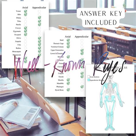 Axial Vs Appendicular Skeleton Worksheet Anatomy Physiology Skeletal System Axial Skeleton