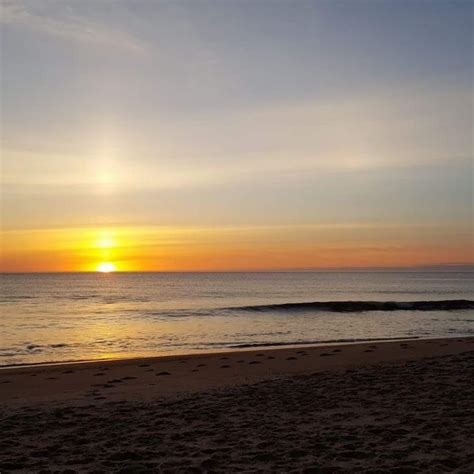 Traci D Basaman Youtube