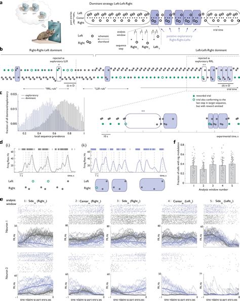 acc neural ensemble dynamics are structured by strategy prevalence elife