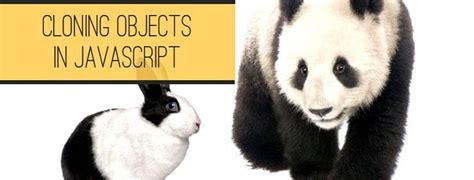 Cloning Objects In Javascript Rjavascript