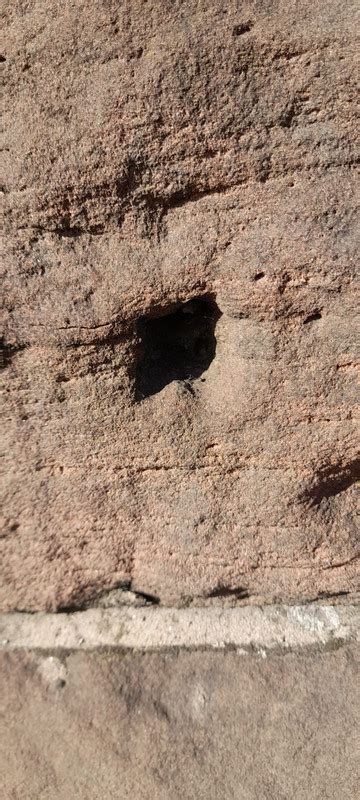 Ww2 Bulletholes Bootle Times News