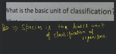What Is The Basic Unit Of Classification What Are Microorganisms Filo