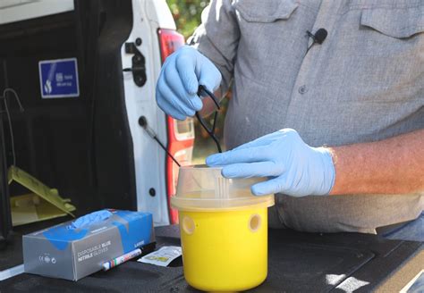 How To Use A Mcphail Trap By Andre Combrink Citrus Research International