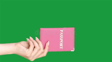 Vertical Passport Document Hand Citizenship Id Stock Footage Video Of Hand Citizenship 337441782