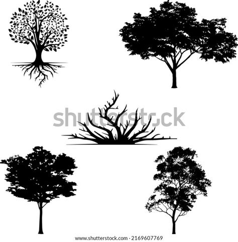 Collection Set Illustrator Vector Tree Stock Vector Royalty Free Shutterstock
