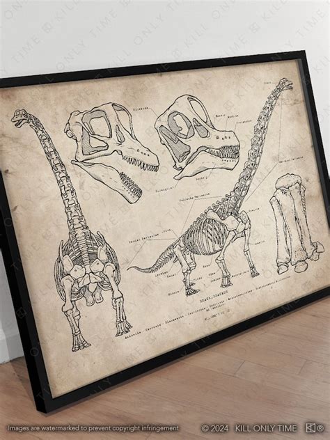 How To Draw Dinosaur Bones Step By Step