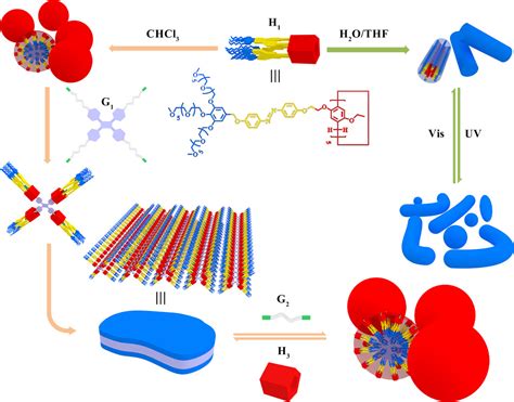 Ordered Nanoassemblies From Self‐assembly Of Amphiphilic Molecule