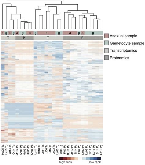 Clustered Data Sets Used In This Study With Genes Ranked According To
