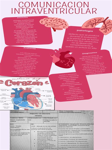 Comunicacion Intraventricular Pdf