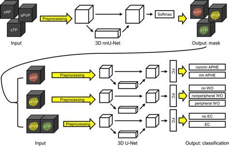 Schematic Diagram Of Our Deep Learning Model For Classification Of Download Scientific Diagram